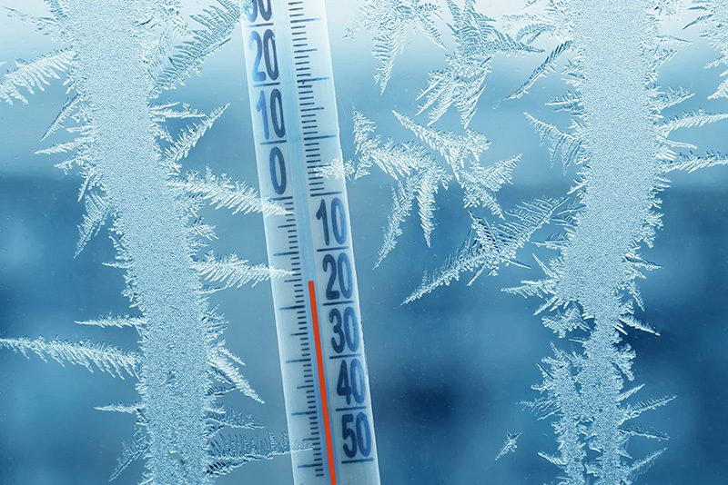 Hard freeze coming to Union Parish this week | fgazette.com